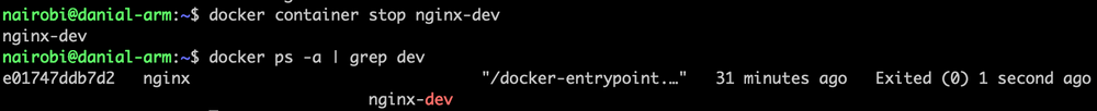 Docker Container Lifecycle Management