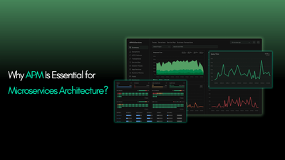 Why APM Is Essential for Microservices Architecture?