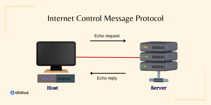 Ping Command: A Beginner's Guide